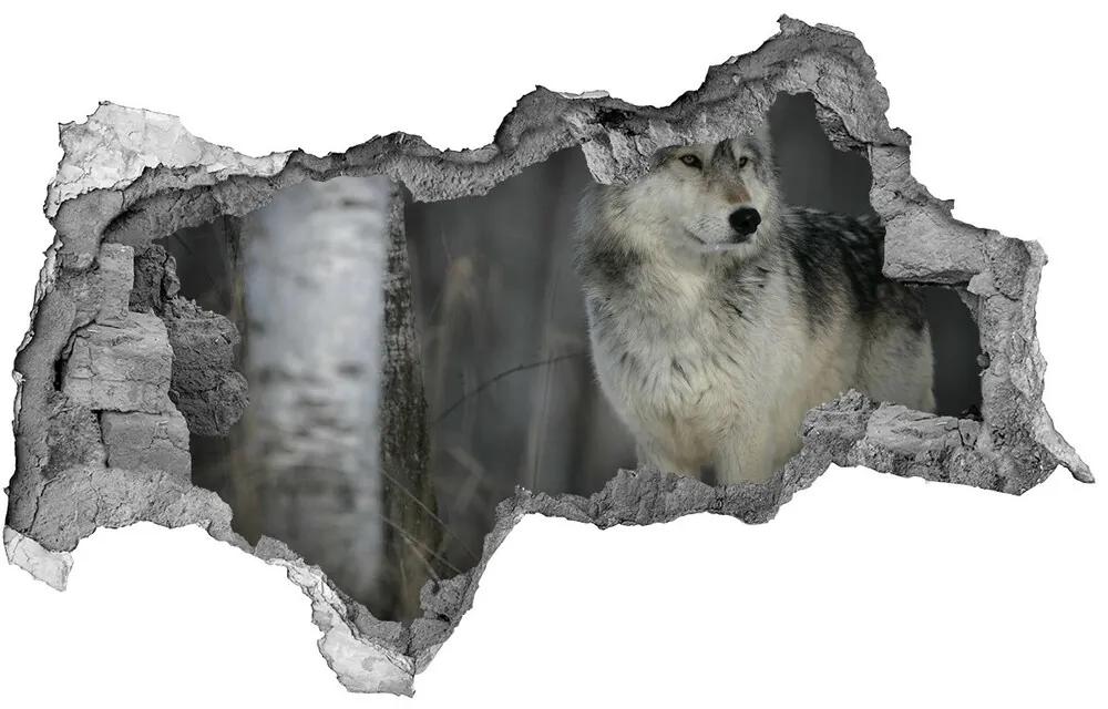 Wallmuralia Díra 3D fototapeta na stěnu Šedý vlk 95x73 cm