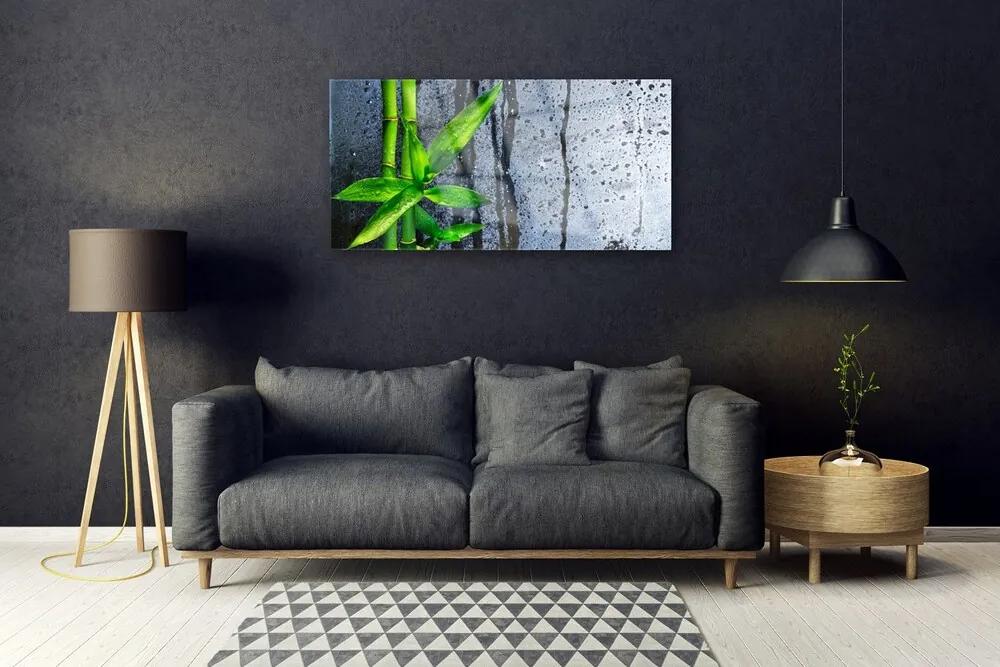 Obraz na skle Bambus List Rostlina Příroda 125x50 cm