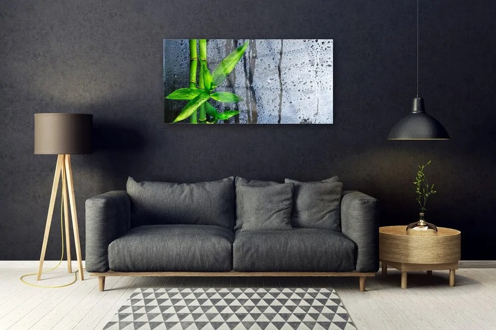 Obraz na skle Bambus List Rostlina Příroda 140x70 cm