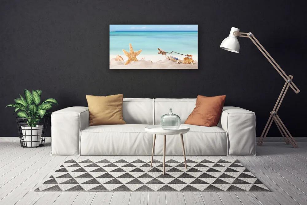 Obraz na plátně Hvězdice Mušle Pláž 125x50 cm