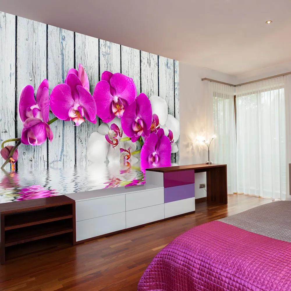 Fototapeta - Fialové orchideje s reflexí vody 200x154