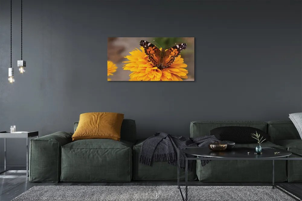 Obrazy na plátně Barevný motýl květina 140x70 cm