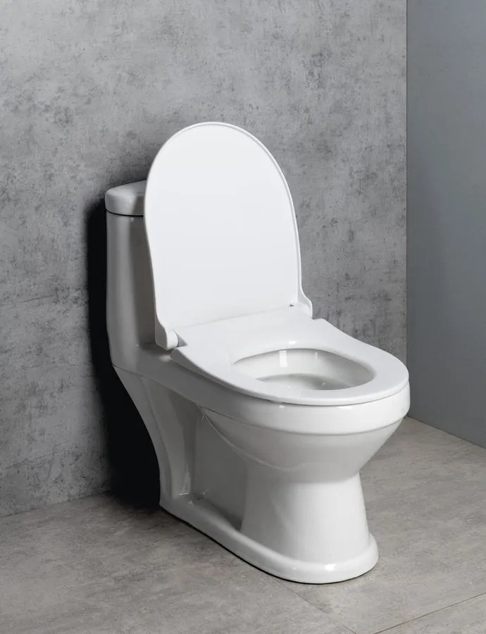 Aqualine Sapho, PETIT WC sedátko, bílá