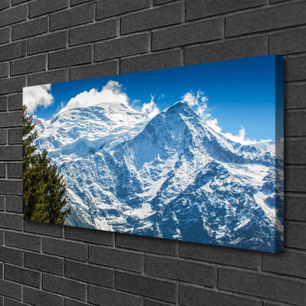 Obraz na plátně Hora Strom Krajina 125x50 cm