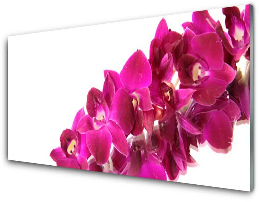 akrylový obraz Květiny Rostlina Příroda 140x70 cm