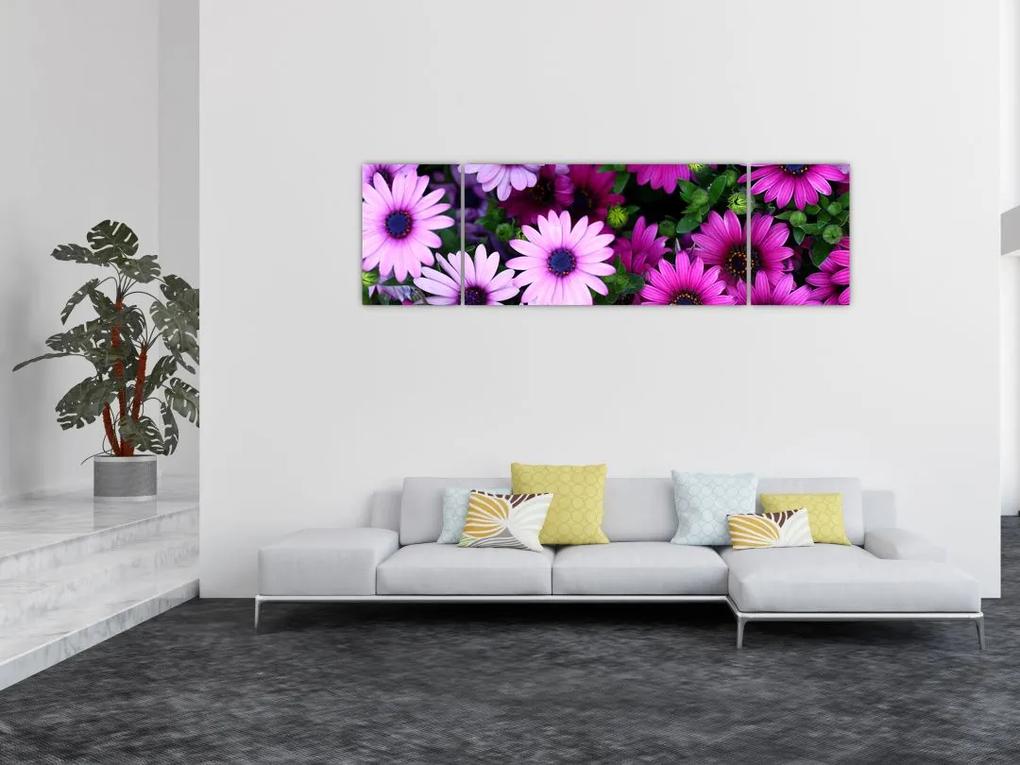 Obraz - Květy (170x50 cm)
