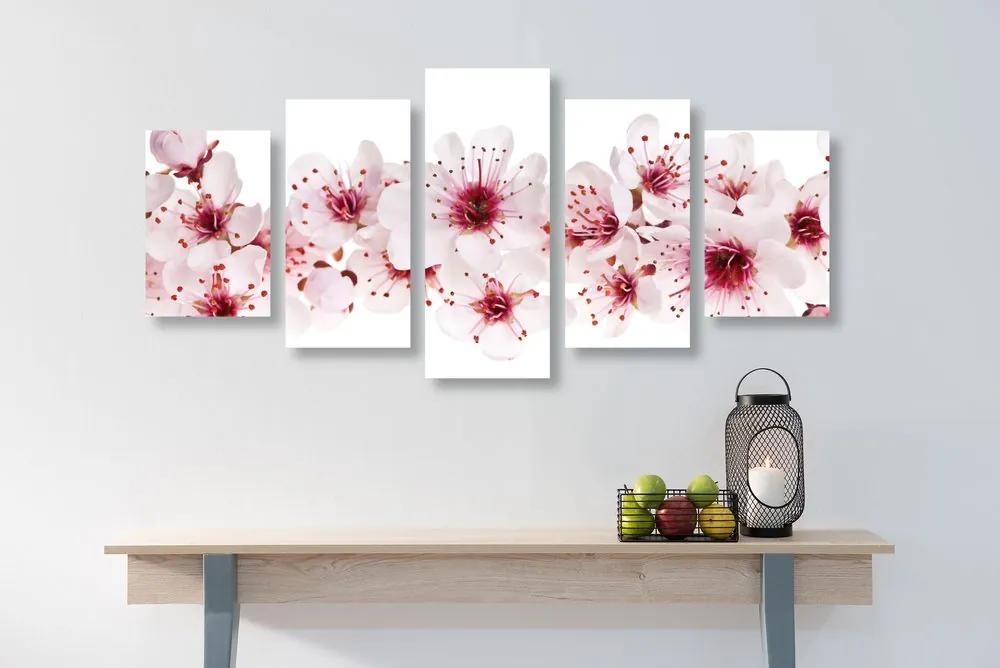 5-dílný obraz třešňové květy Varianta: 200x100