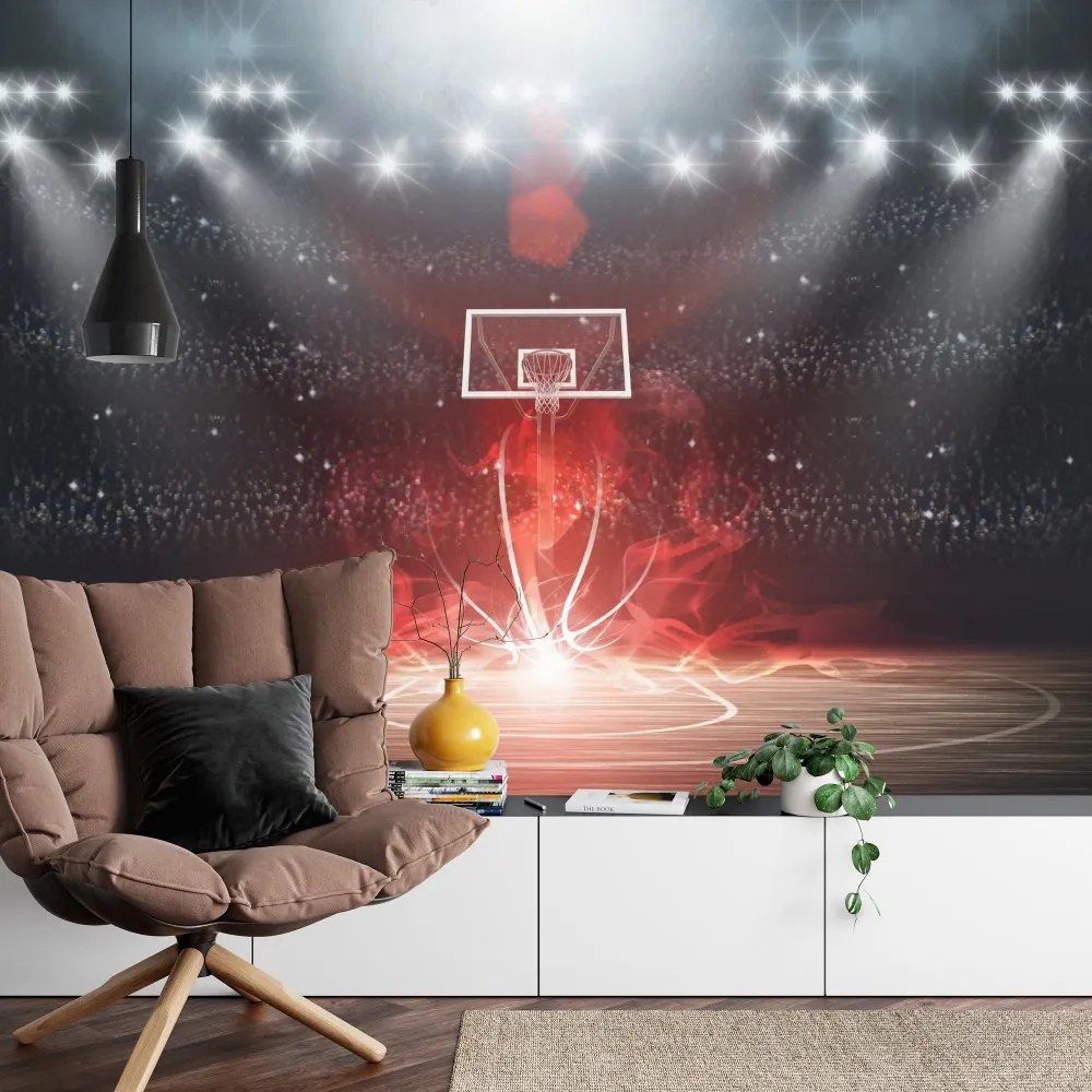 Fototapeta Futuristické Basketbalové Hřiště Hladký vinyl 520x318