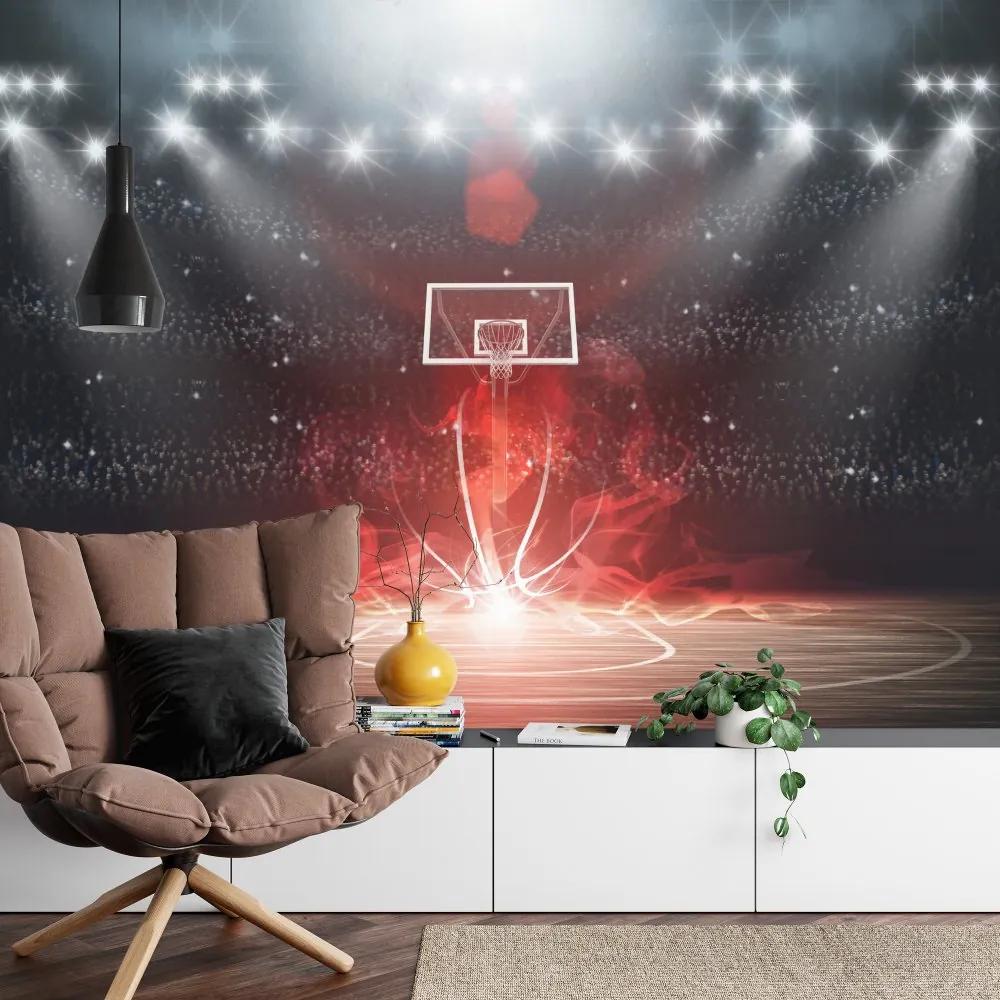 Fototapeta Futuristické Basketbalové Hřiště Strukturální vinyl 460x300