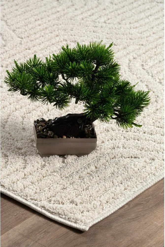 Krémový pratelný koberec 200x300 cm Loopy – Mila Home