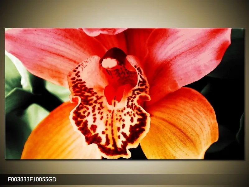 Obraz pestrobarevné orchideje  (), 40 dalších rozměrů