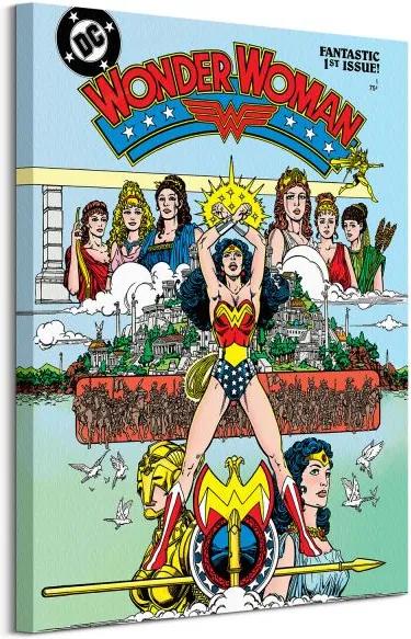 Obraz na plátně DC Comics Wonder Woman (Fantastic) 60x80cm WDC99978