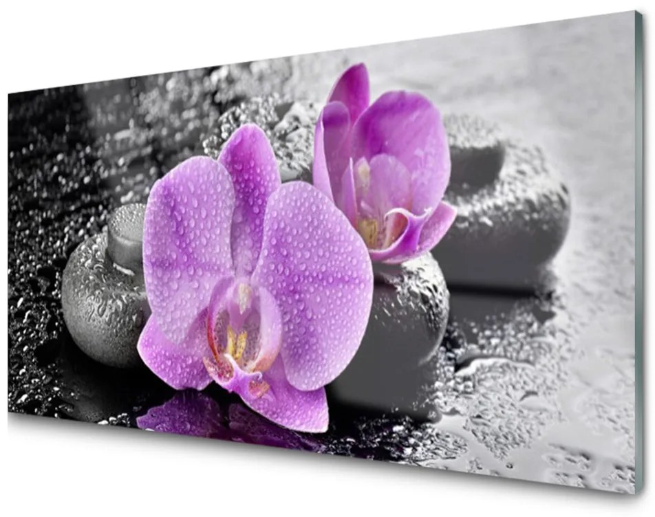 Skleněný obraz Orchidej Květiny Kameny Zen