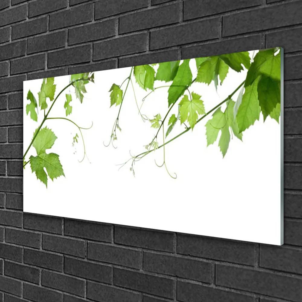 Obraz na skle Větve Listy Příroda Květiny 100x50 cm