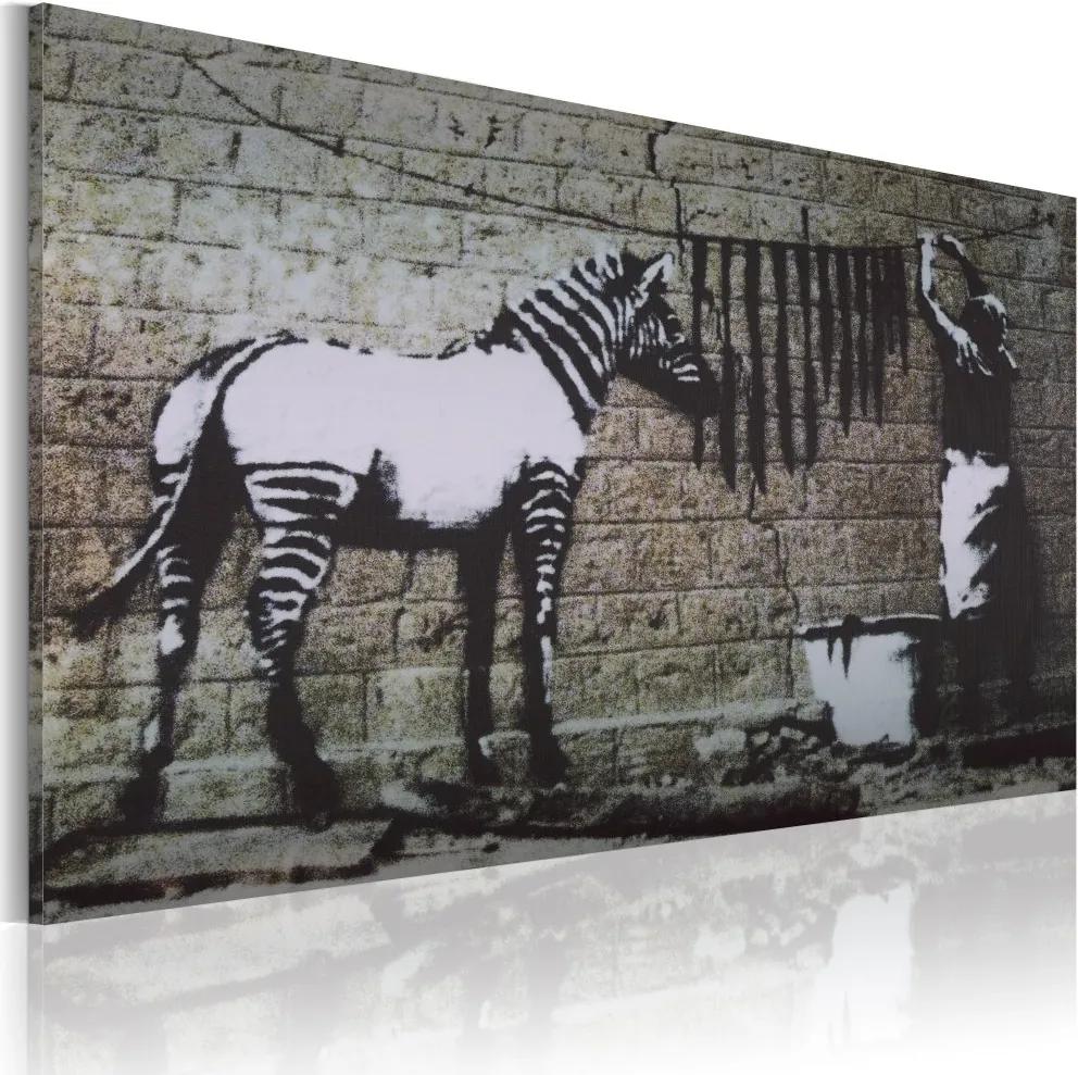 Obraz na plátně Bimago - Zebra washing (Banksy) 60x40 cm
