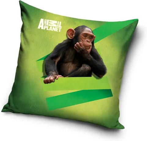 CARBOTEX Povlak na polštářek Animal Planet Šimpanz micro Polyester 40/40 cm