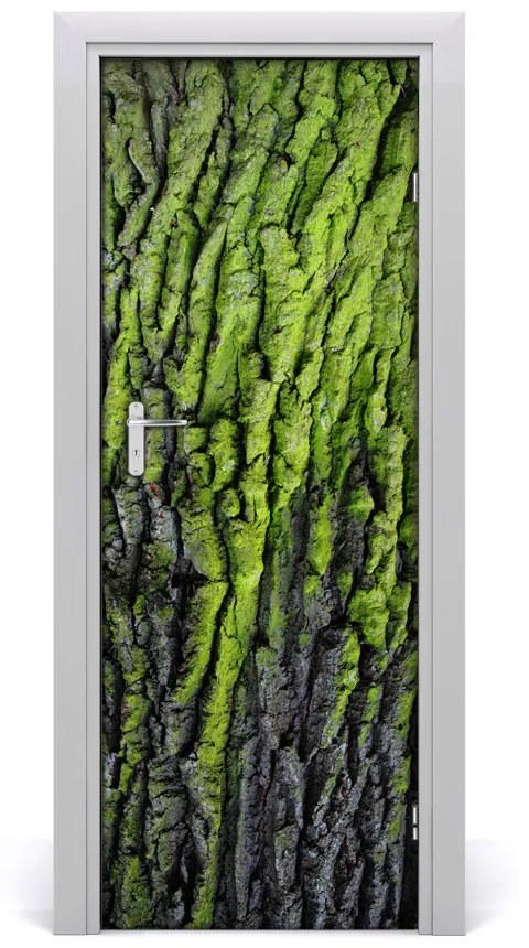 Fototapeta samolepící Kůra stromu 95x205 cm