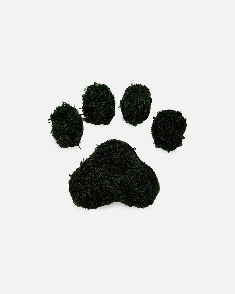 3D mechová kočičí pacička DIY tvořivá sada