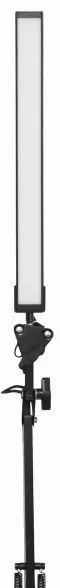LED Stolní lampa s klipem LED/10W/230V 2800-6800K