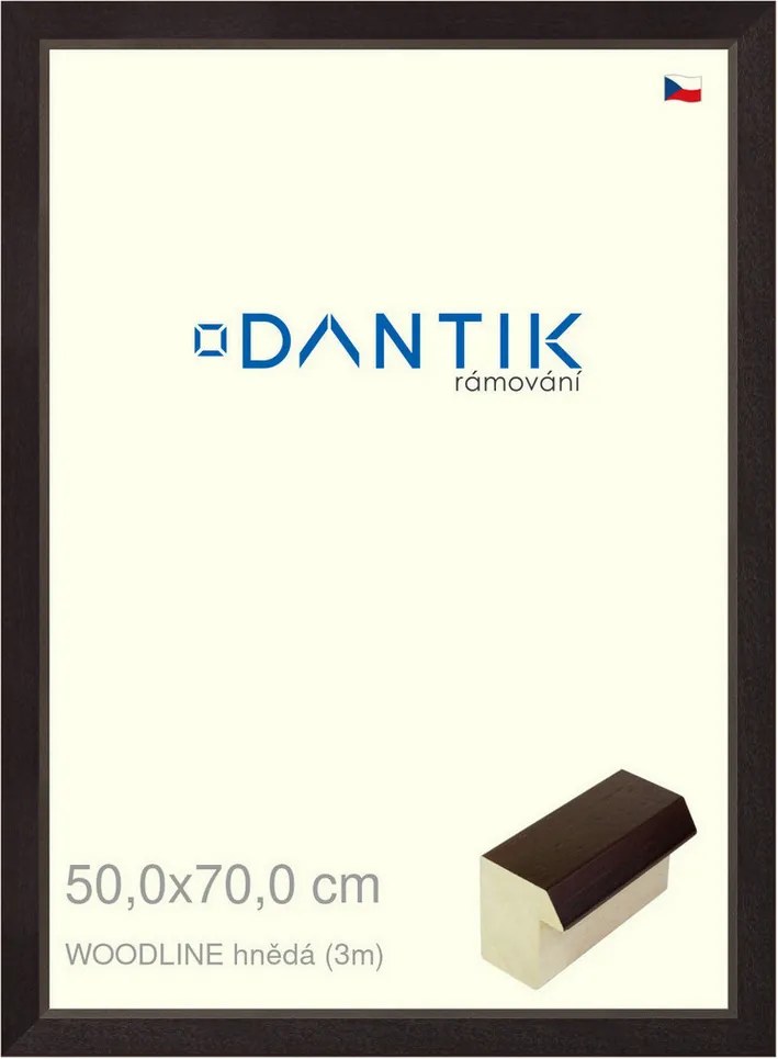 DANTIK rámeček 50x70 | WOODLINE hnědá (Plexi Čiré)
