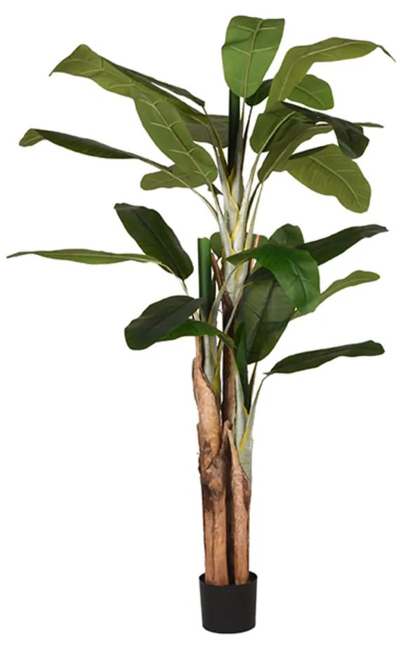 LABEL51 Umělá rostlina Musa - zelený plast