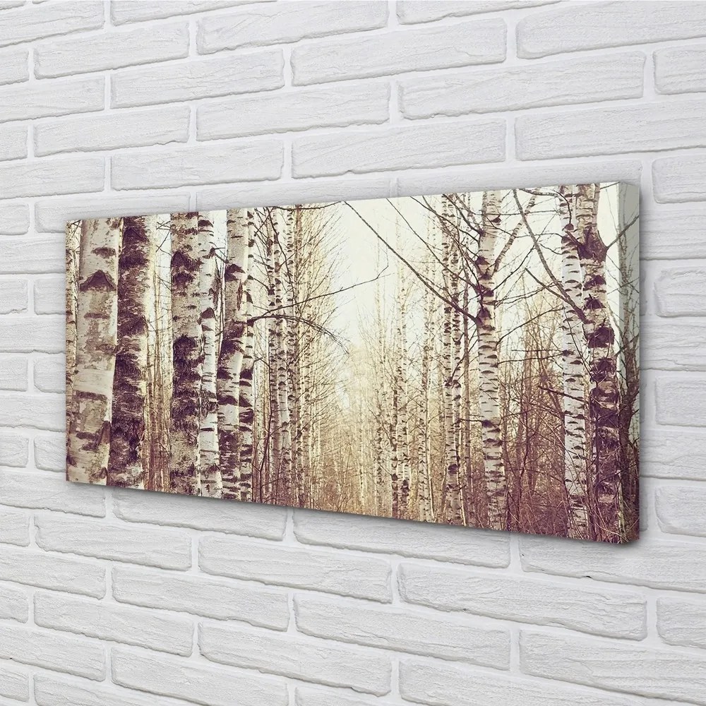 Obrazy na plátně stromy 125x50 cm