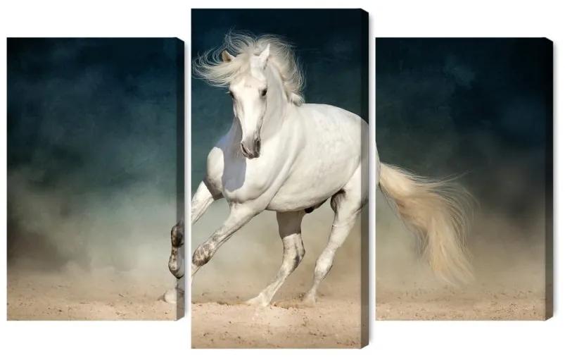 Vícedílný obraz Bílý Kůň Ve Cvalu Nedostatek Nedostatek Přírodní plátno 60x40