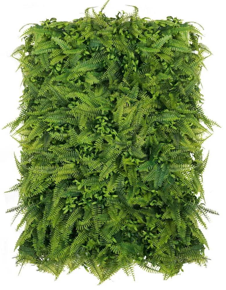 Vertikální zahrada Asparagus 40x60