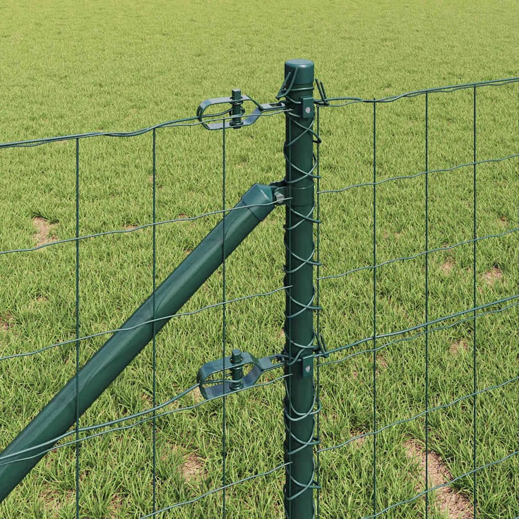 Evropský plot se hroty 10 x 0,8 m Ocel potažená PVC Zelená 3350562