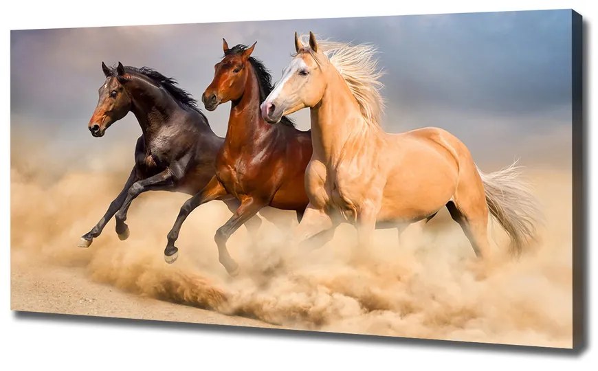 Wallmuralia Foto obraz na plátně Koně ve cvalu 120x60 cm