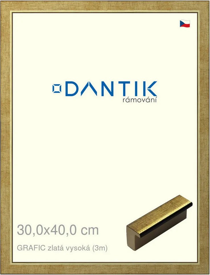 DANTIK rámeček 30x40 | GRAFIC zlatá vysoká (Plexi Čiré)