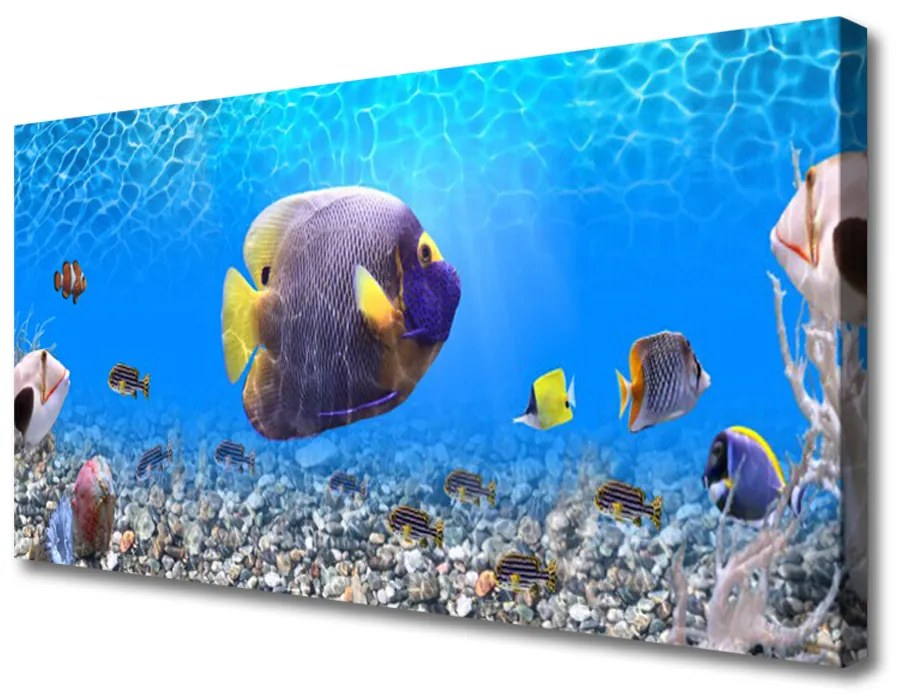 Obraz na plátně Ryba Příroda 125x50 cm