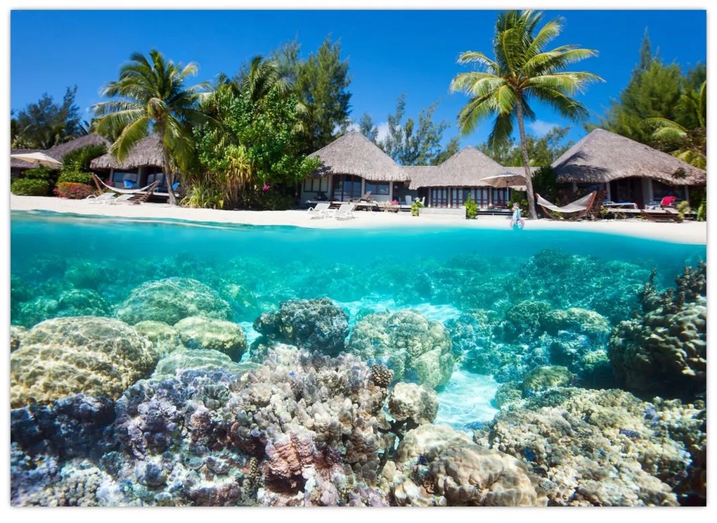 Skleněný obraz pláže na tropickém ostrově (70x50 cm)