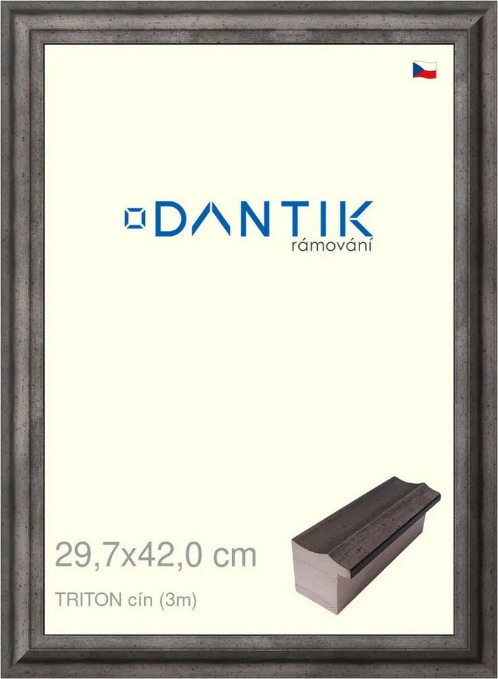 DANTIK rámeček 29,7x42 | TRITON cín (Plexi Čiré)