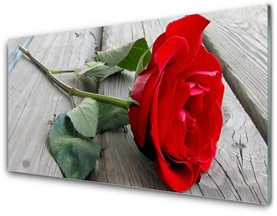 Obraz na skle Růže Květiny 125x50 cm