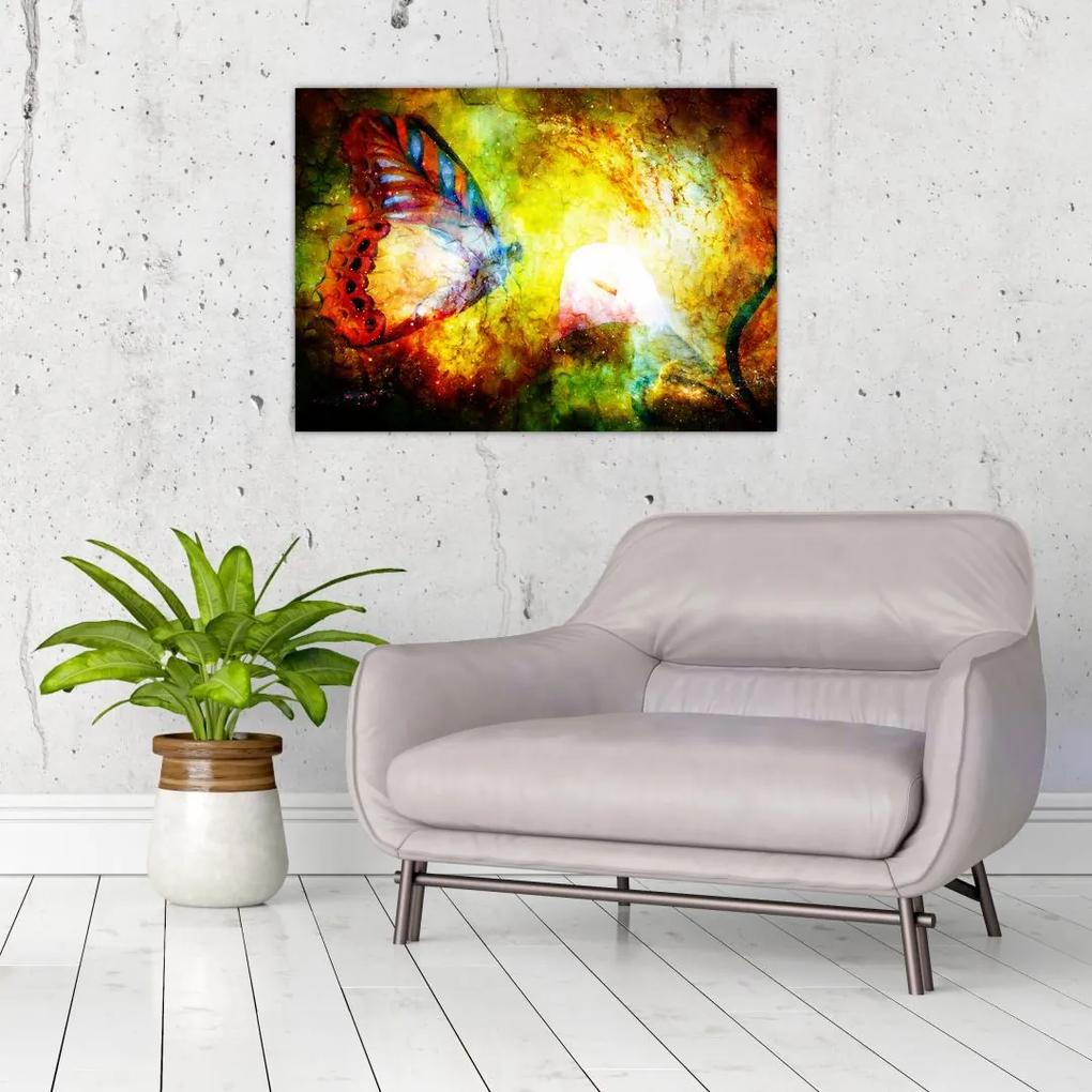 Obraz - Kosmický motýl (70x50 cm)