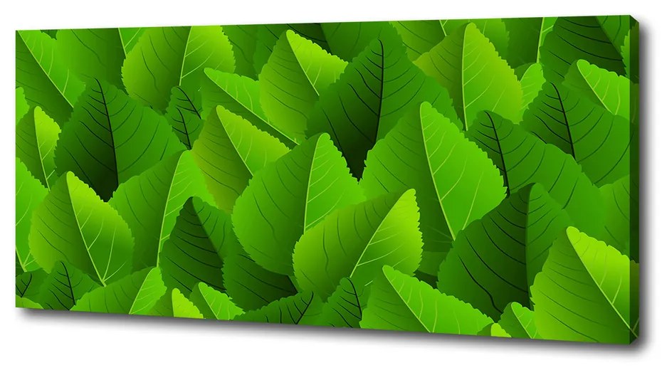 Wallmuralia Foto obraz na plátně Zelené listí 125x50 cm