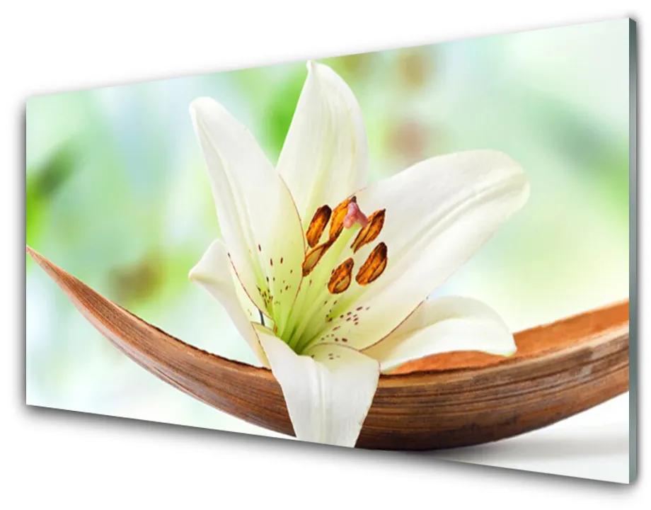 Plexisklo-obraz Květ Rostlina Příroda 100x50 cm