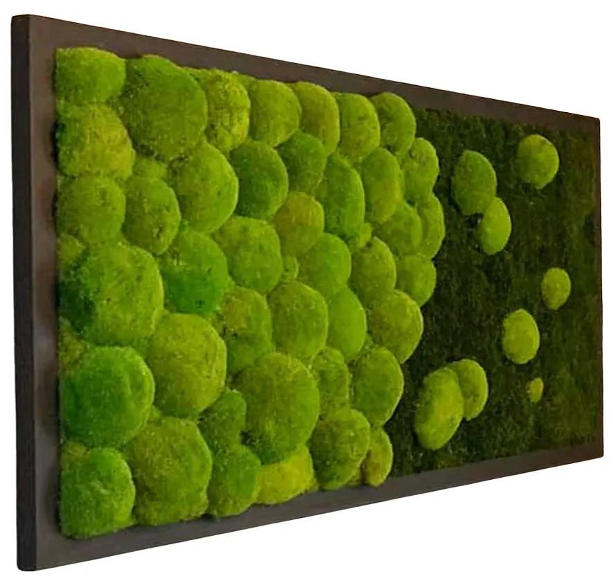 Mechový obraz |kombinace mechů Rozměr obrazu: 140x70 cm, Barva rámu: Ořech světlý (mořená borovice), Síla rámu (pohledová): 2,5 cm