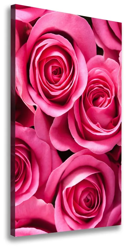Wallmuralia Foto obraz na plátně do obýváku Růžové růže 60x120 cm