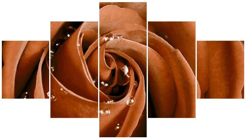 Obraz kapek rosy na růži (125x70 cm), 40 dalších rozměrů