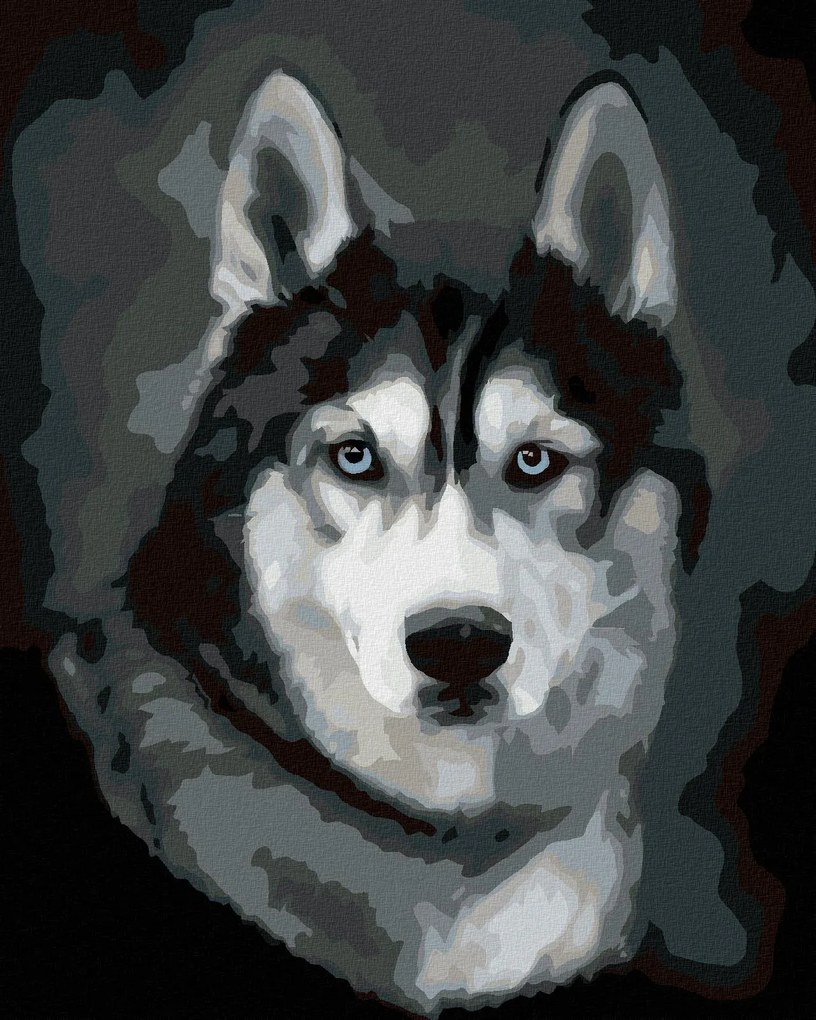 zuty zuty - malování podle čísel - husky portrét, 40x50 cm, plátno