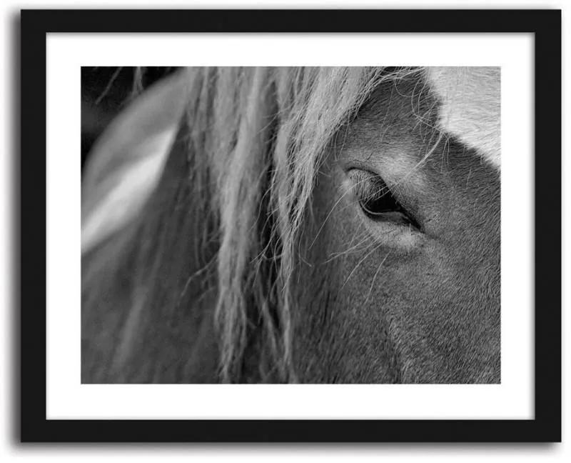 CARO Obraz v rámu - Horse 2 40x30 cm