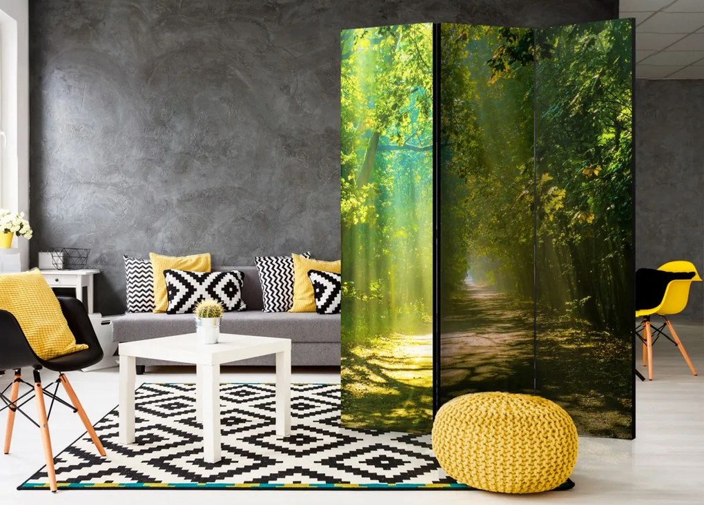 Paraván cesta na slunci (135x172 cm) - Murando DeLuxe