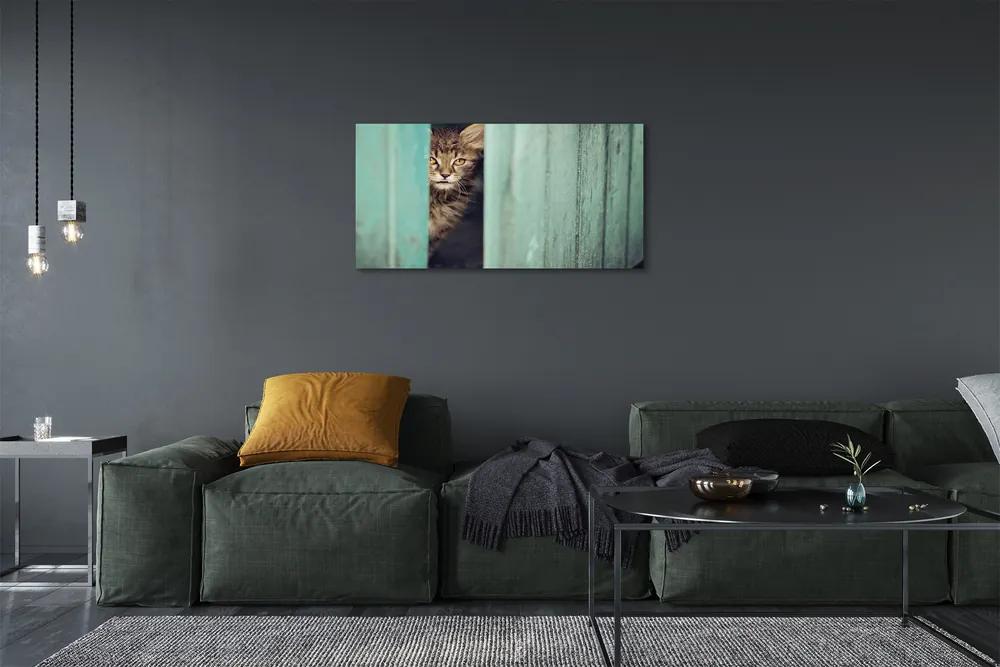 Obrazy na plátně Zaglądający cat 125x50 cm
