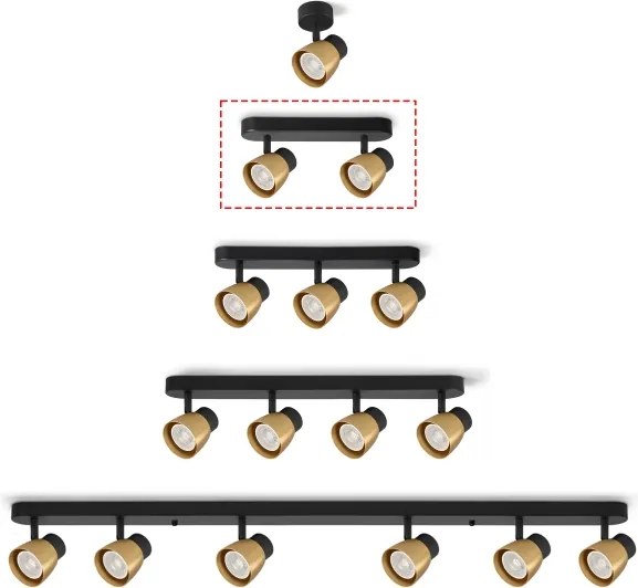 Brilagi - Bodové svítidlo NUGGET 2xGU10/30W/230V černá/zlatá