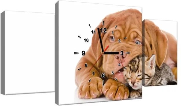 Obraz s hodinami Jako kočka a pes 80x40cm ZP1300A_3AX