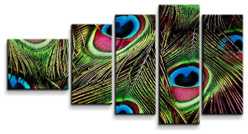 Sablio Obraz - 5-dílný Paví peří - 100x60 cm