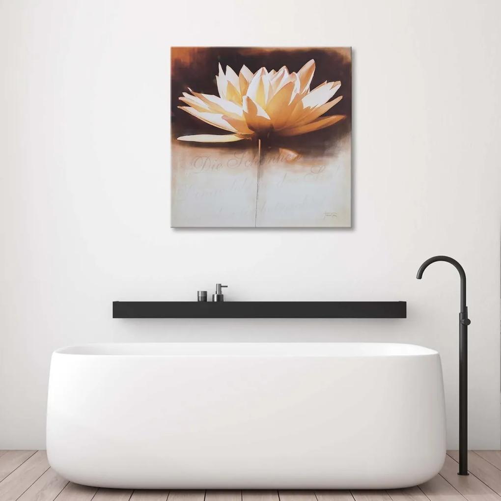Obraz na plátně Vodní lilie Květina Příroda - 60x60 cm