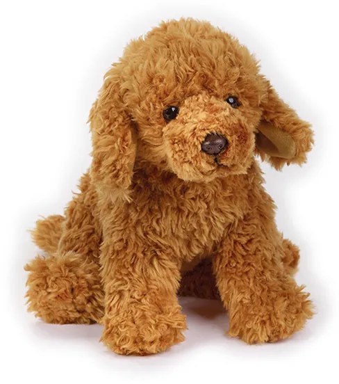 NATIONAL GEOGRAPHIC Kids Pes Labradoodle 33 cm